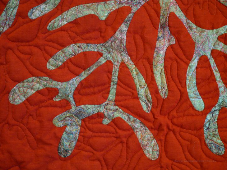 miachammas – exploring pattern